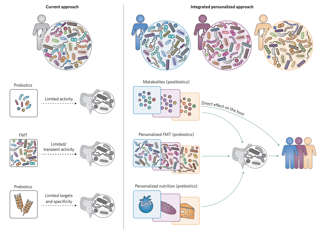 The path towards microbiome-based metabolite treatment. | Elinav Lab